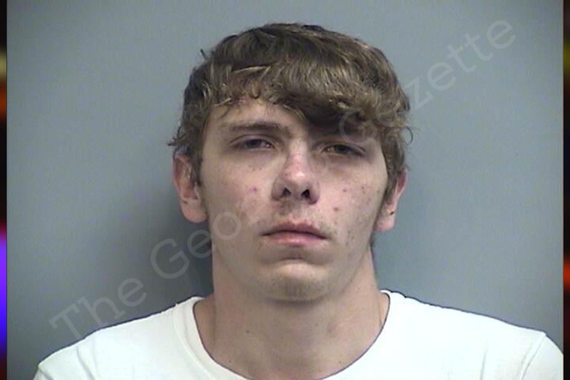 Ronald Sapp — Effingham County Jail Bookings