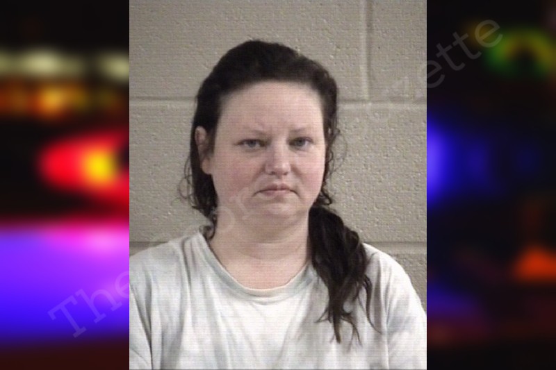Amanda Shelnutt — Whitfield County Jail Bookings