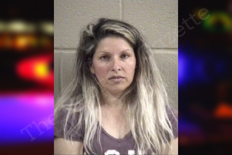 Laura Silva — Whitfield County Jail Bookings