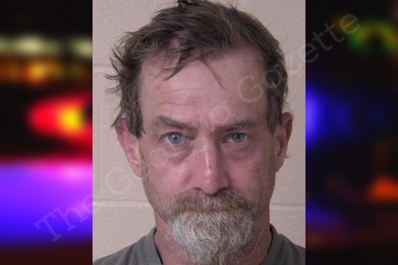 Kelly Sims — Walker County Jail Bookings