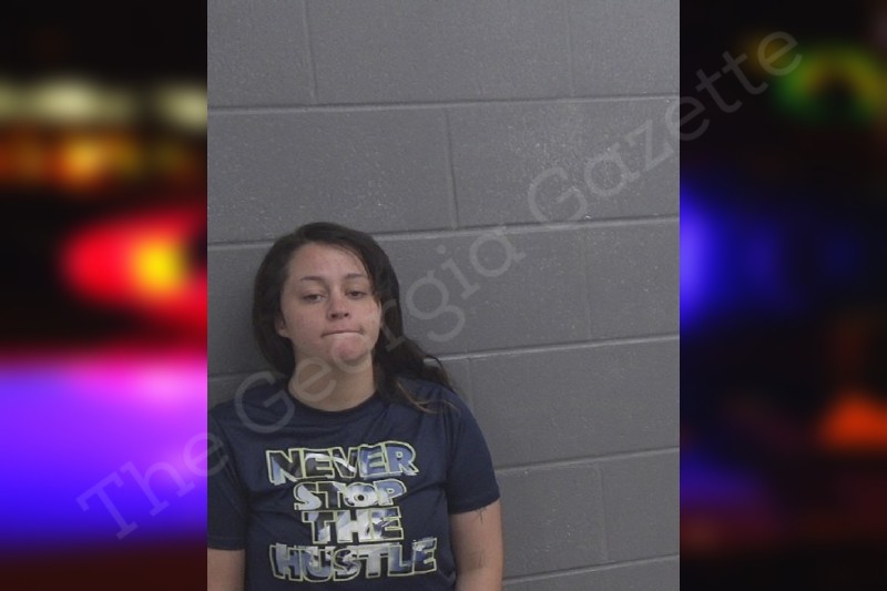 Mary Sneed — Spalding County Jail Bookings