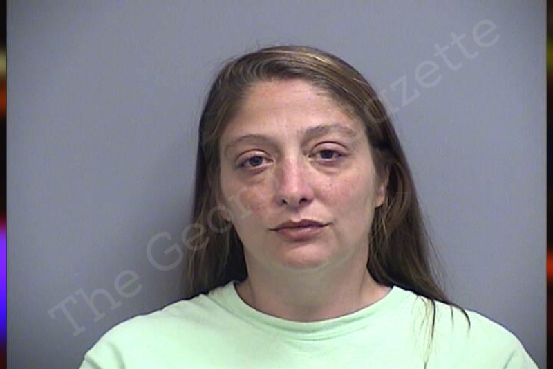 Whitney Spires — Effingham County Jail Bookings