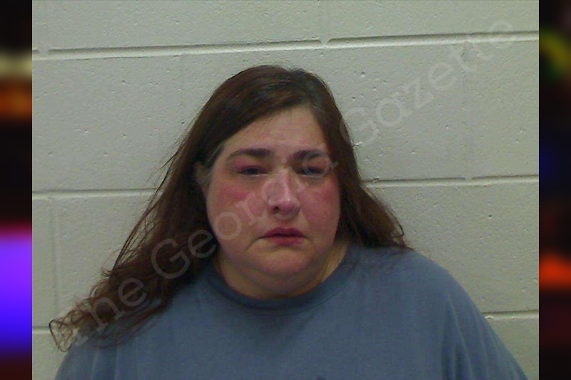 Delanie Stephens — Bulloch County Jail Bookings