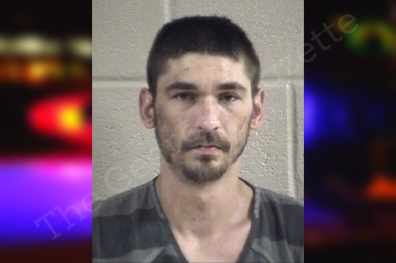 Mitchell Vaughn | Whitfield County Jail Bookings