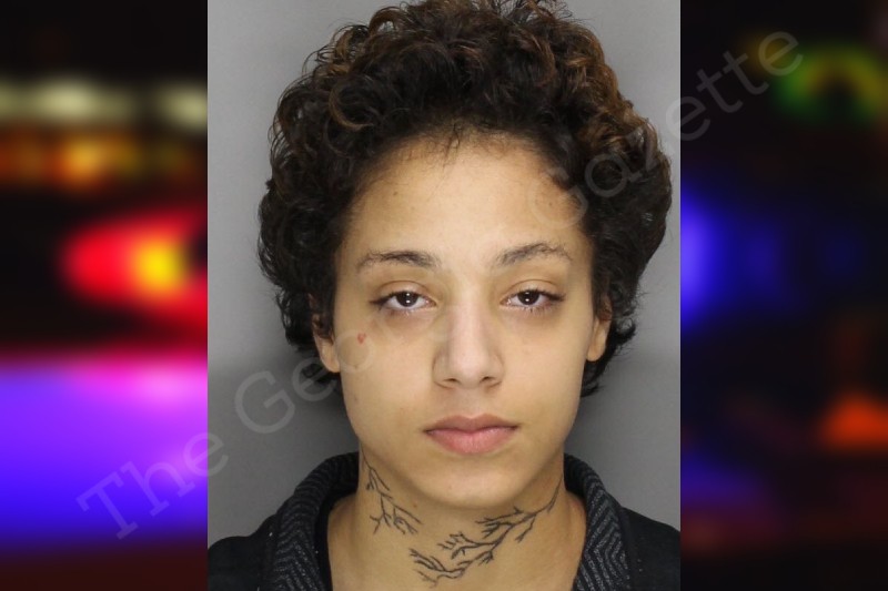 Brialee Walker — Cobb County Jail Bookings