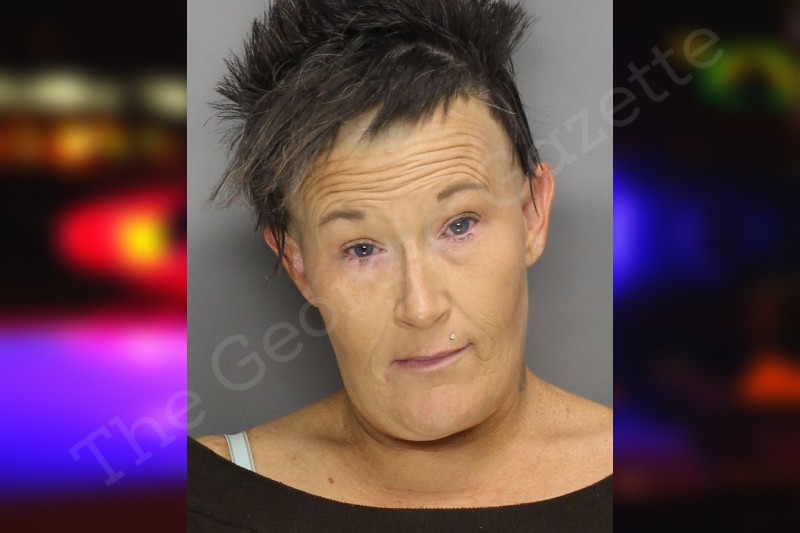 Misty Williams — Cobb County Jail Bookings