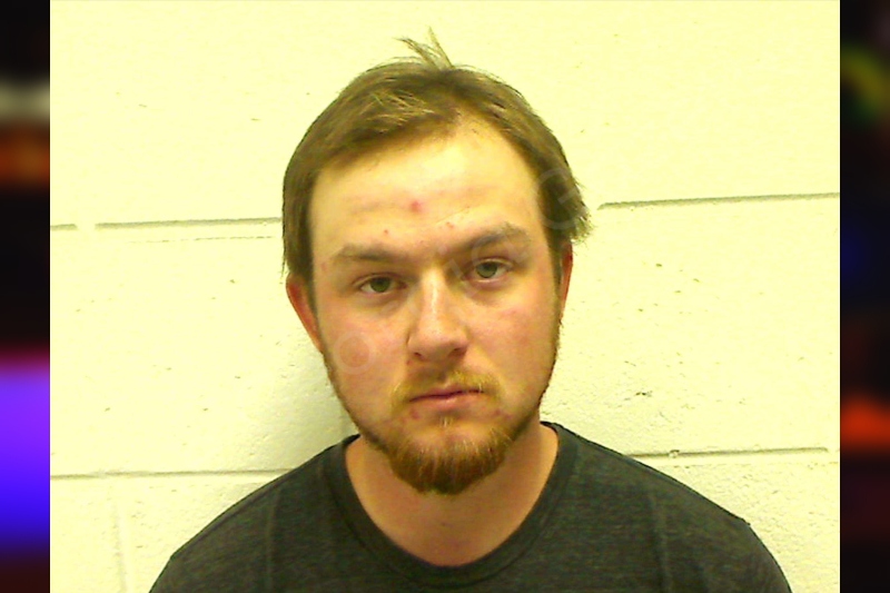 Andrew Walton — Bulloch County Jail Bookings