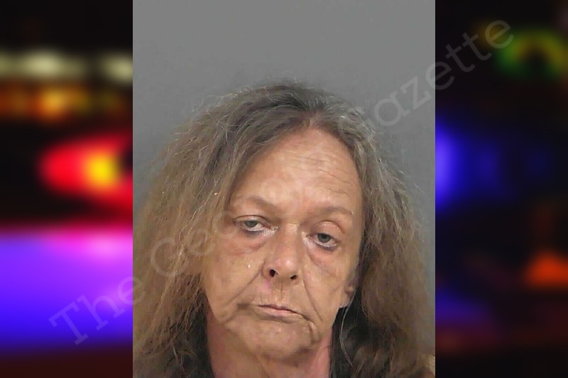 Debbie Webb — Gordon County Jail Bookings