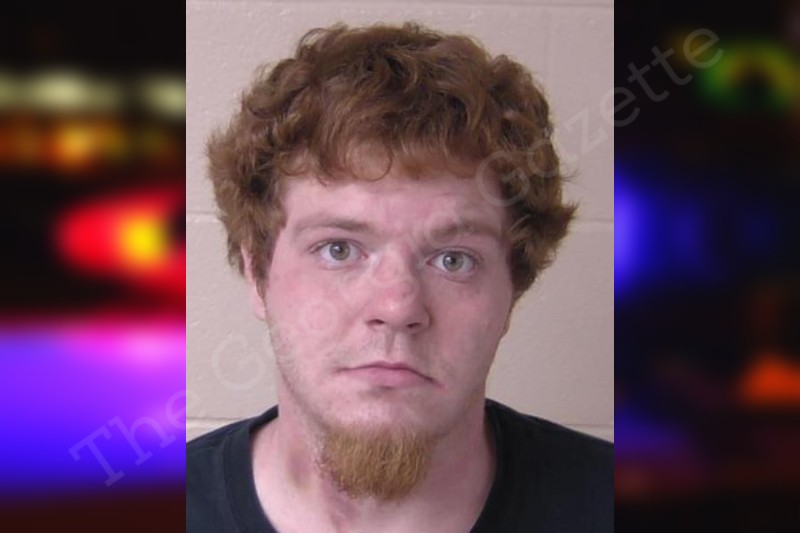 Hunter White — Walker County Jail Bookings