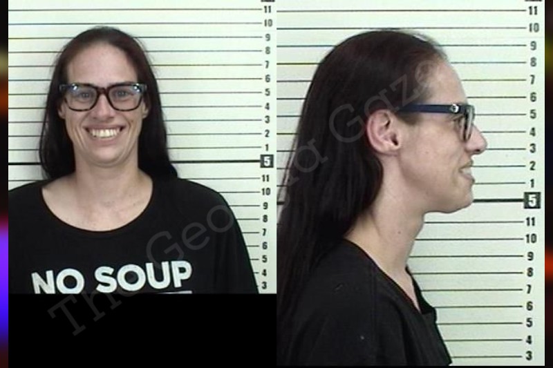 Ashley Williams — Camden County Jail Bookings