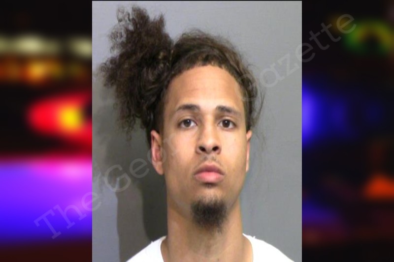 Noah Wu — Glynn County Jail Bookings