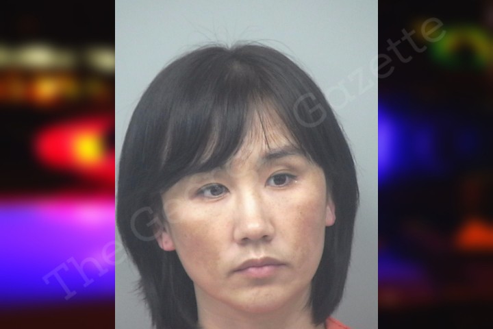 Xiaoping Zhang — Gwinnett County Jail Bookings