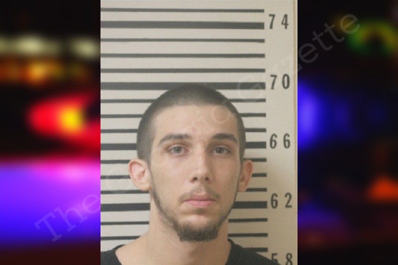 Ethan Adams — Toombs County Jail Bookings