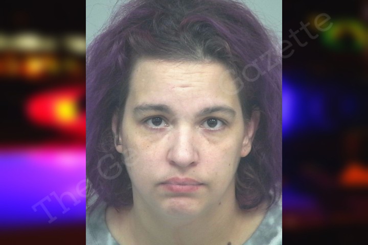 Bianka Alers — Gwinnett County Jail Bookings