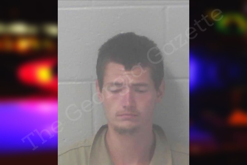 Michael Allen — Newton County Jail Bookings