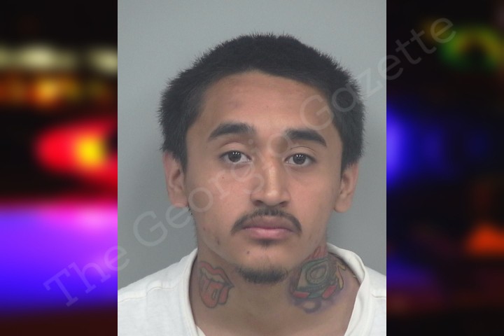 Alexander Arellano — Gwinnett County Jail Bookings