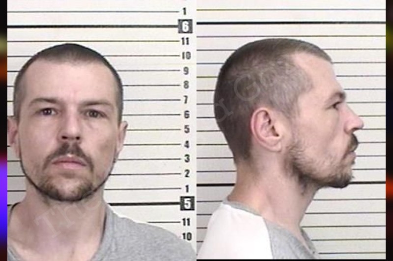 Jason Alexander — Camden County Jail Bookings