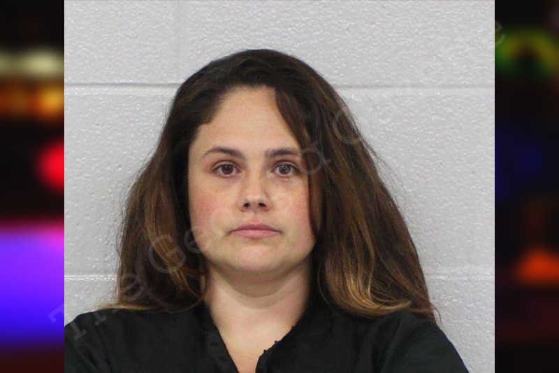 Lisa Ball — Carroll County Jail Bookings