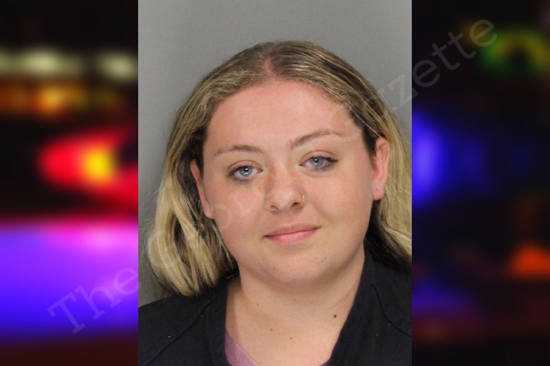 Ally Beeman — Cobb County Jail Bookings