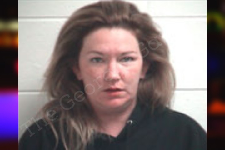 Jayme Bisi — Henry County Jail Bookings