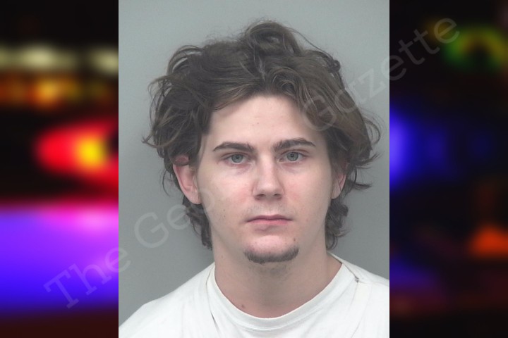 Ethan Brewer — Gwinnett County Jail Bookings