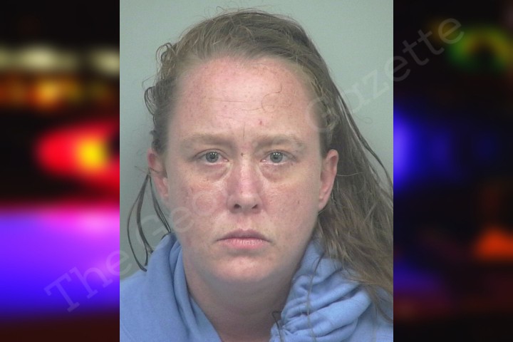 Lisa Burt — Gwinnett County Jail Bookings