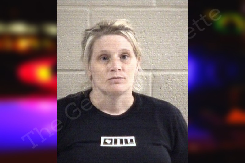 Allison Ball — Whitfield County Jail Bookings