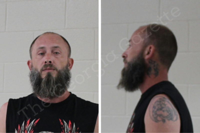 Michael Barnes — Houston County Jail Bookings