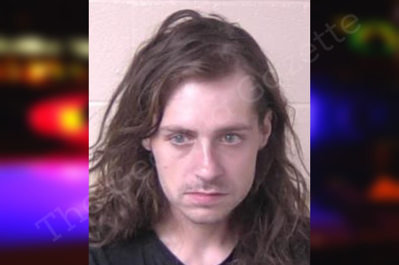 Jacob Beard — Walker County Jail Bookings