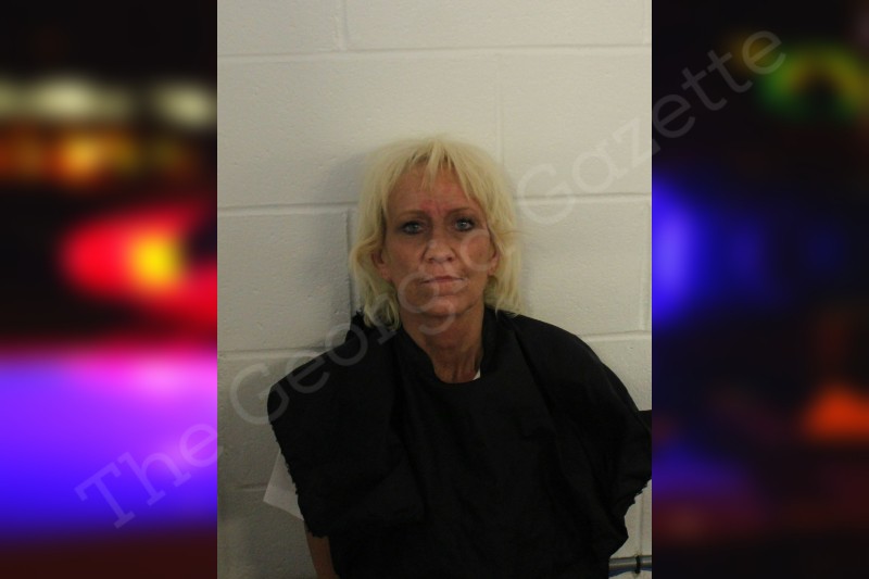 Tonia Boone | Floyd County Jail Bookings