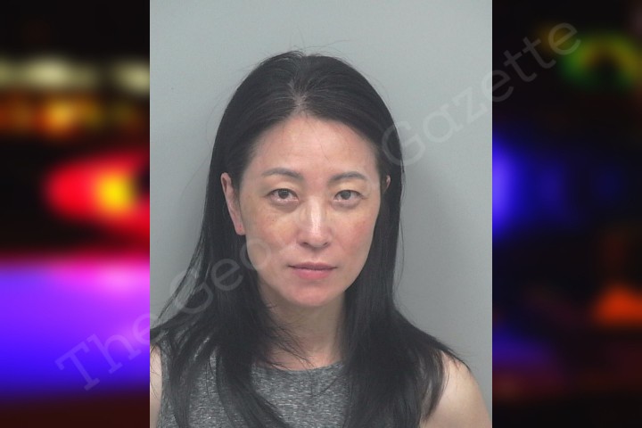 Sin Chang — Gwinnett County Jail Bookings