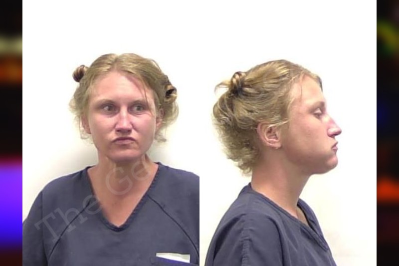 Brittani Clark | Clarke County Jail Bookings