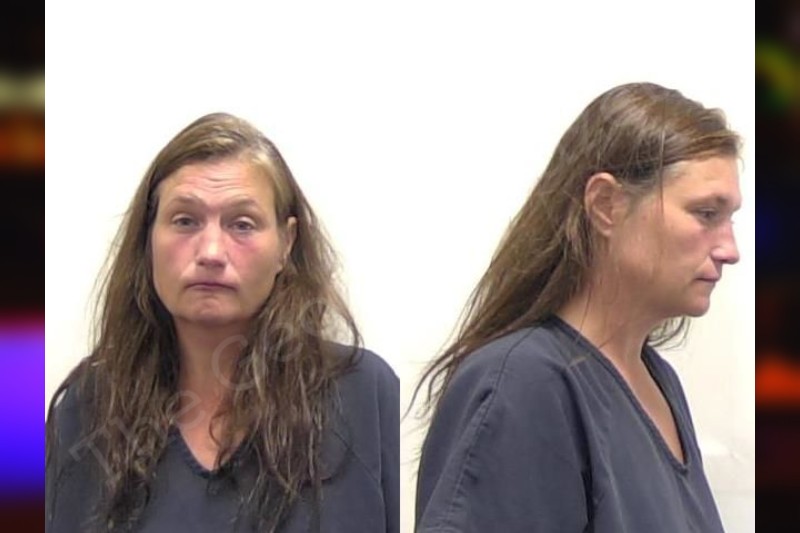 April Cobb — Clarke County Jail Bookings