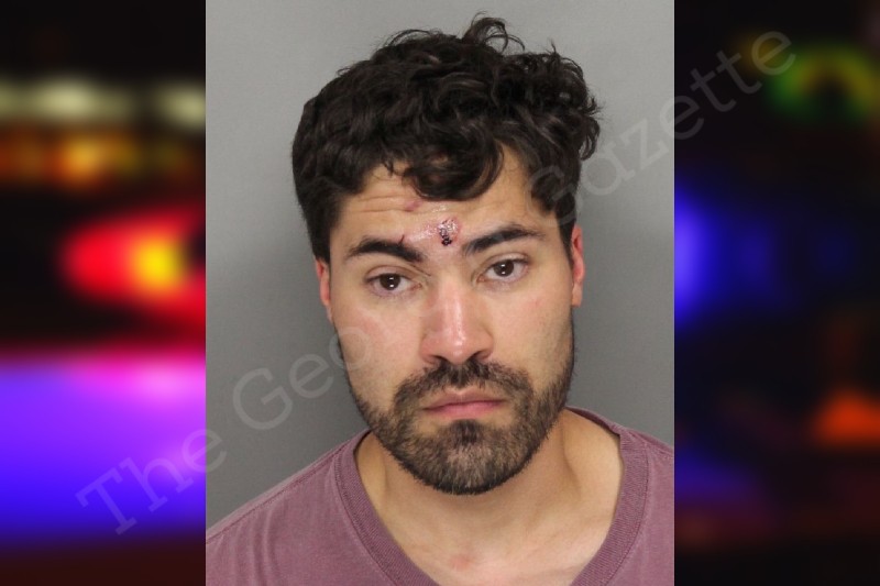 Stephen Cofino — Cobb County Jail Bookings