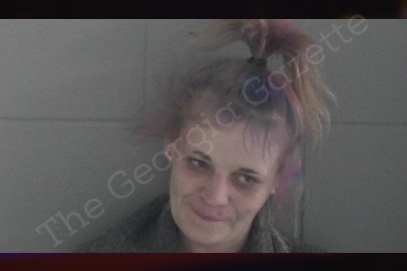 Michelle Casey — Brantley County Jail Bookings