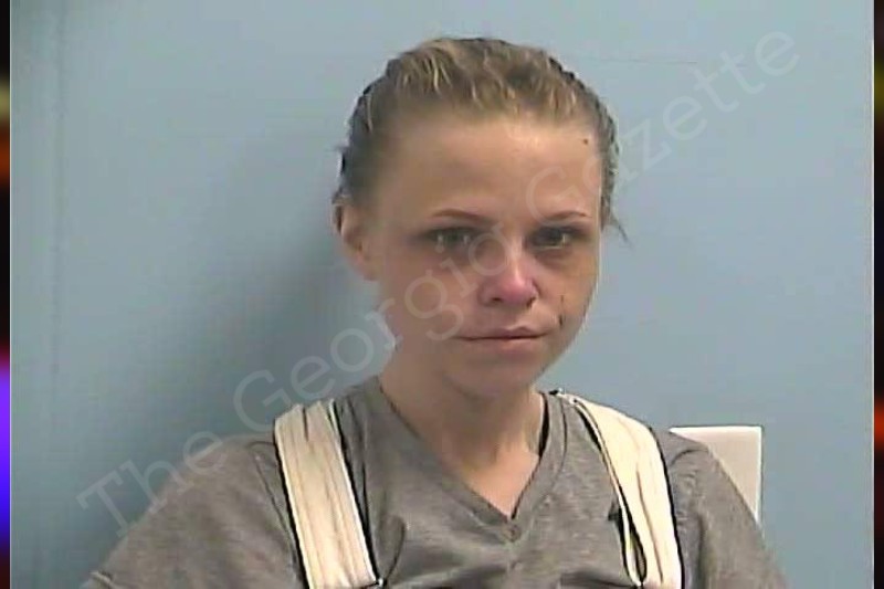 Brittney Cramer — Dawson County Jail Bookings