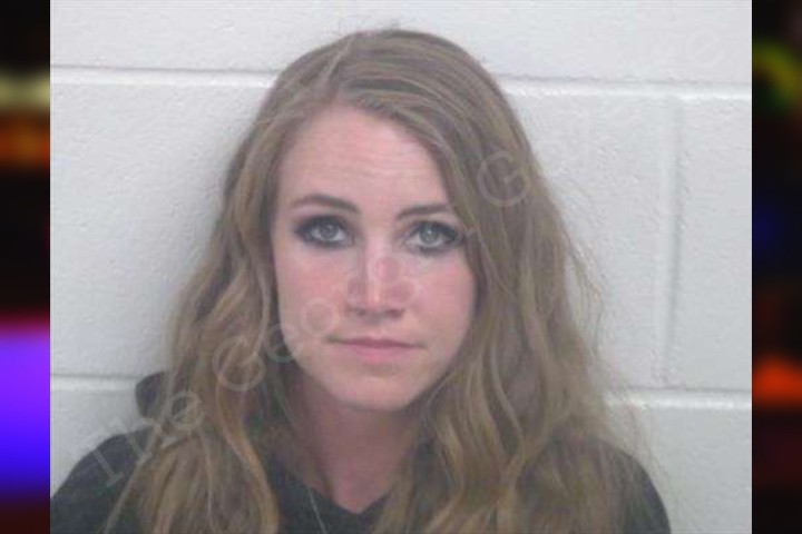 Morgan Davis — Washington County Jail Bookings
