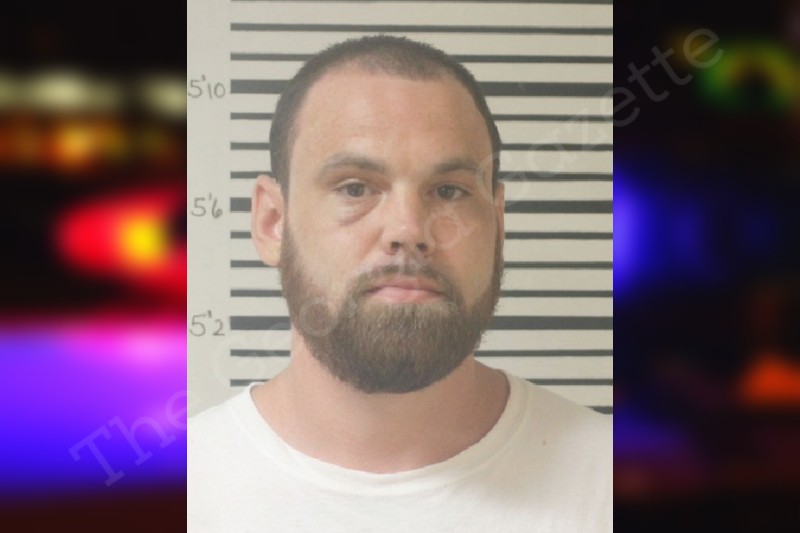 Ryan Dean — Toombs County Jail Bookings