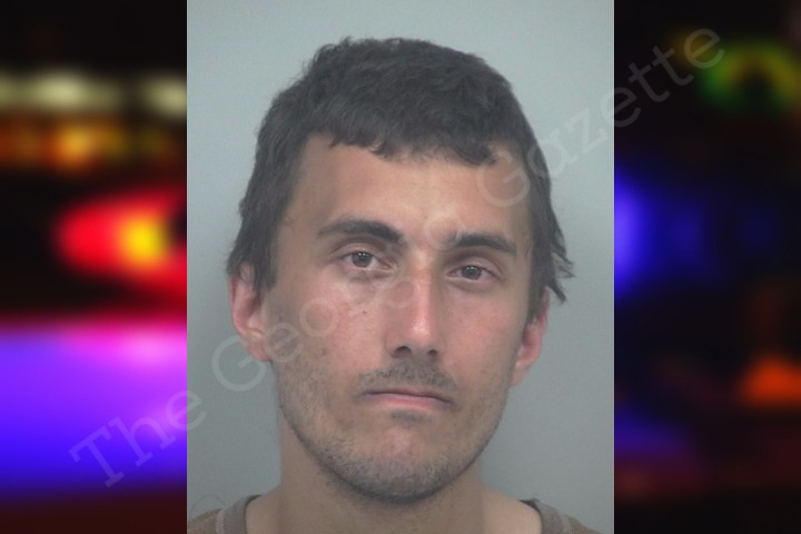 Christian Dejak — Gwinnett County Jail Bookings