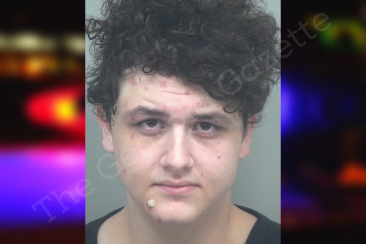 Gavin Duff — Gwinnett County Jail Bookings