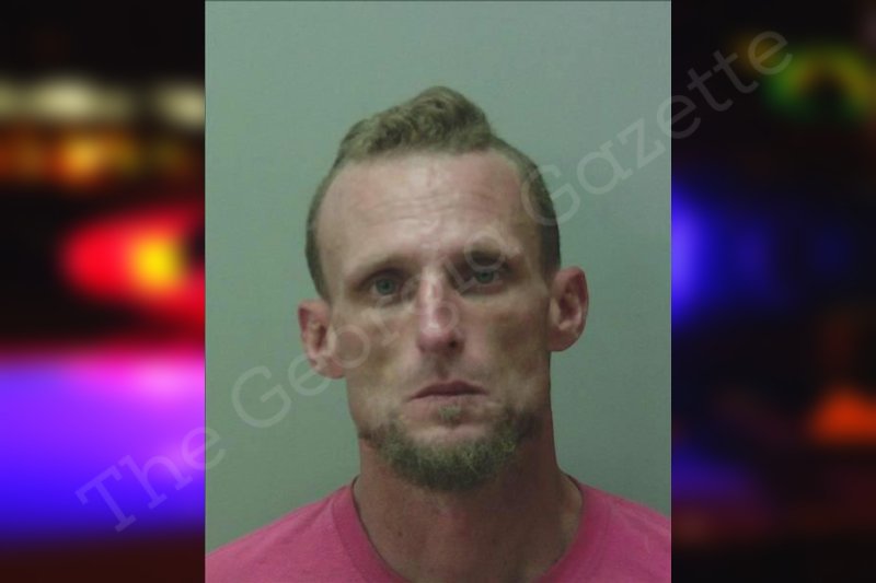 Robert Dale — Towns County Jail Bookings