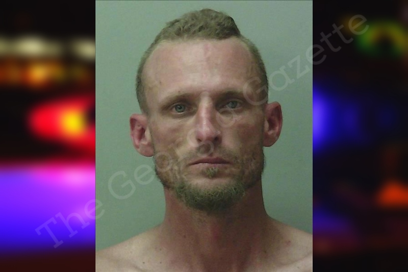 Robert Dale — Towns County Jail Bookings