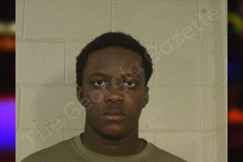 Amara Diallo — Liberty County Jail Bookings