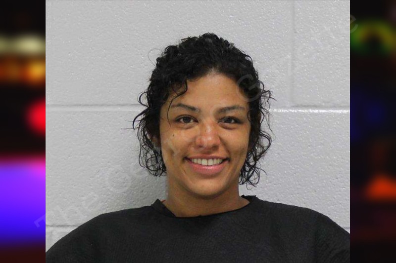 Lisa Ellis — Carroll County Jail Bookings