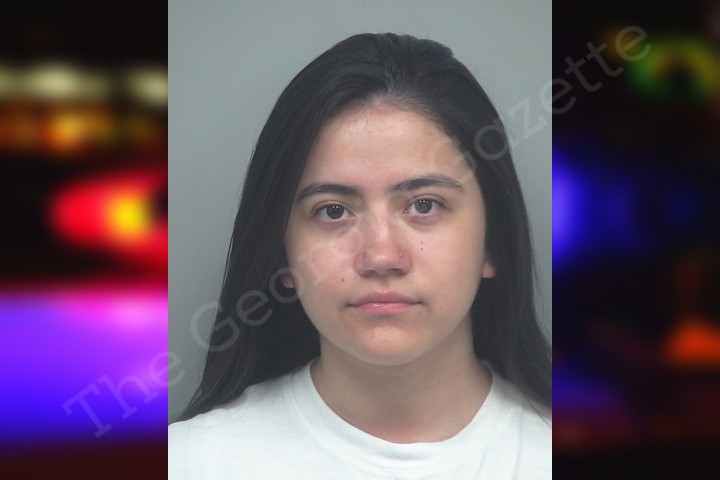 Brisa Estrada — Gwinnett County Jail Bookings