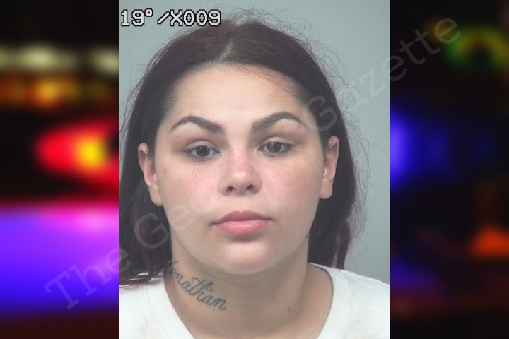 Bryana Flores — Gwinnett County Jail Bookings