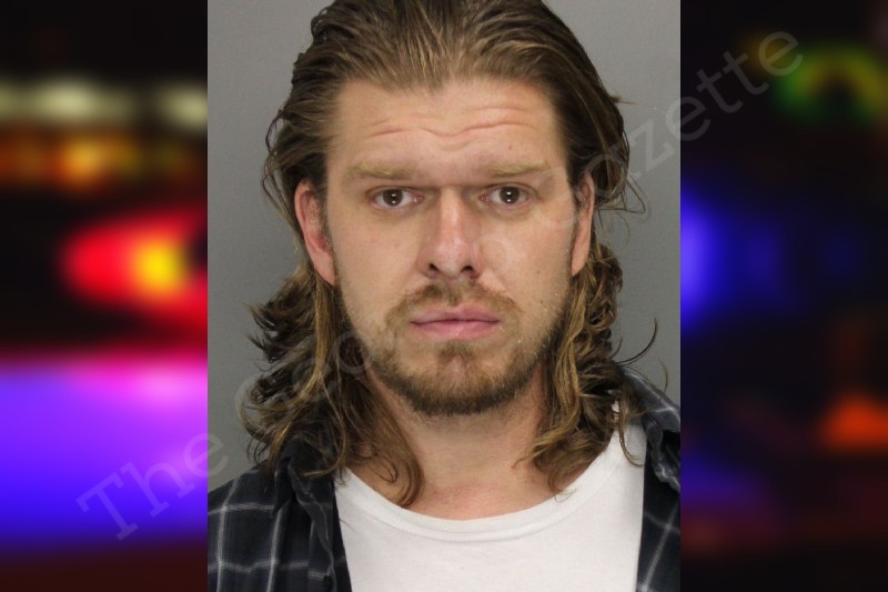 Gregory George — Cobb County Jail Bookings