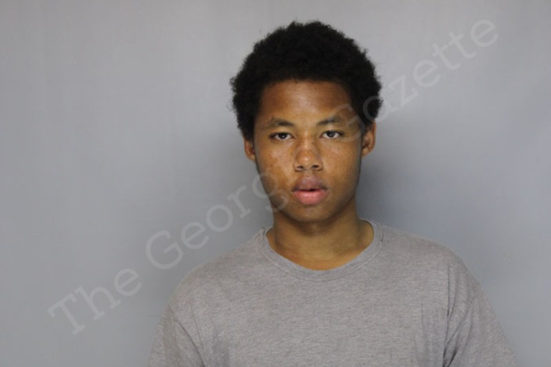 Steven Gibson — Hall County Jail Bookings