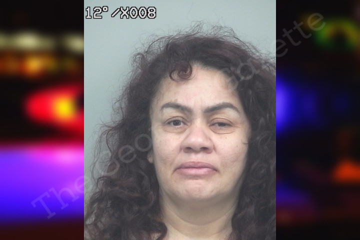 Leandra Giron De Los Santos — Gwinnett County Jail Bookings