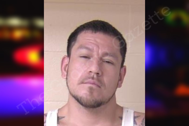 Jimmie Goins — Walker County Jail Bookings